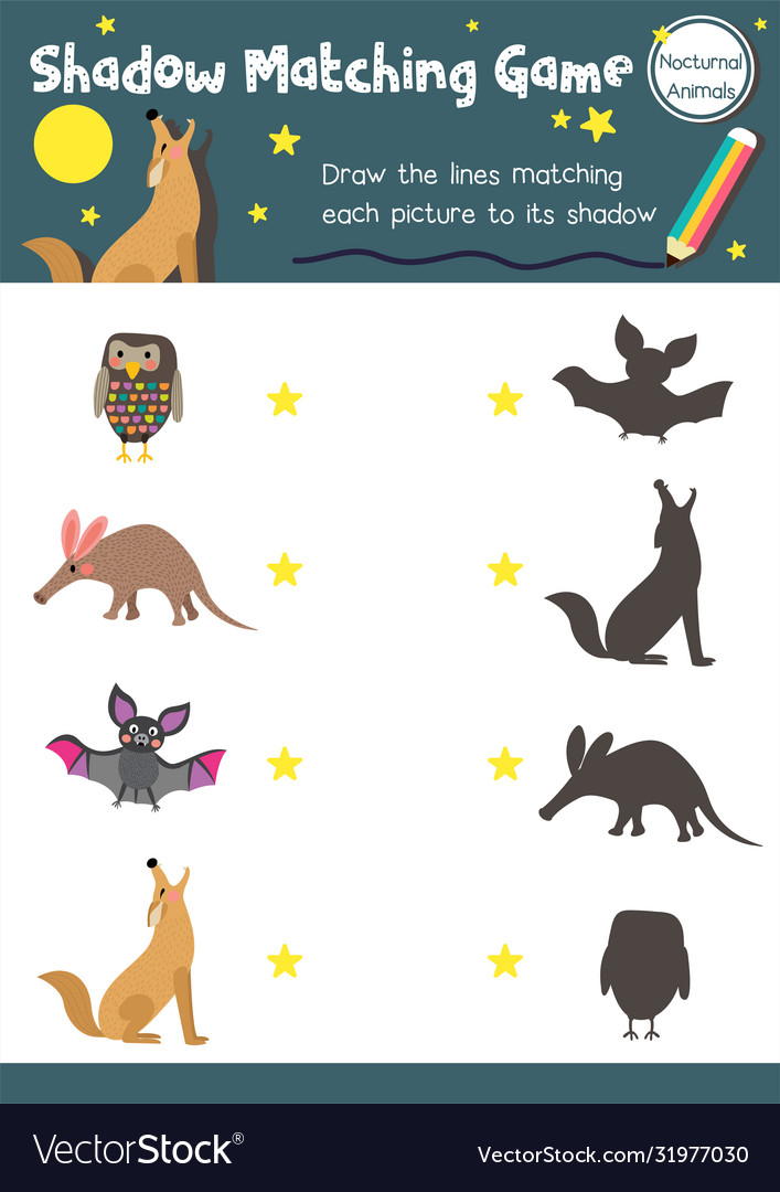 Shadow matching game nocturnal animal Royalty Free Vector