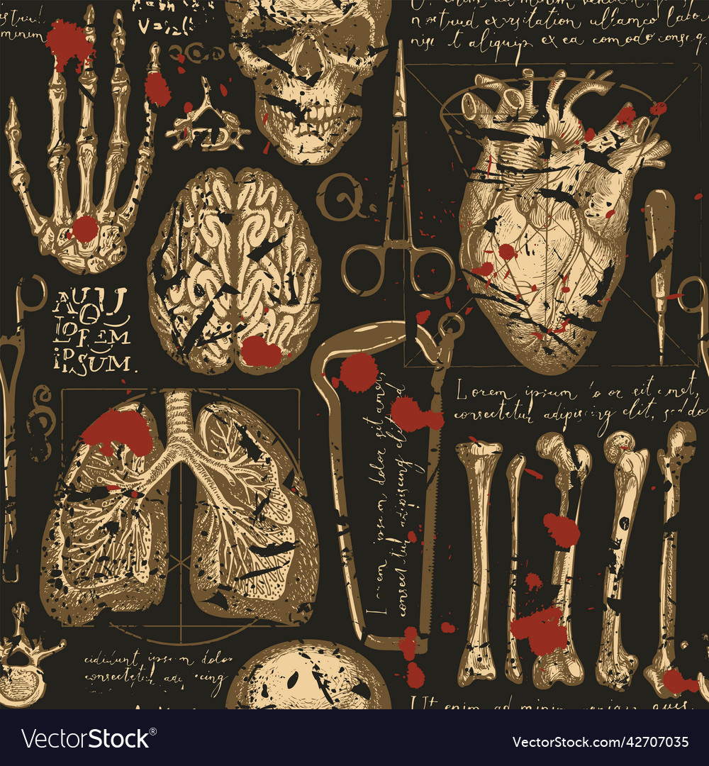 Anatomy seamless pattern with draw human organs Vector Image