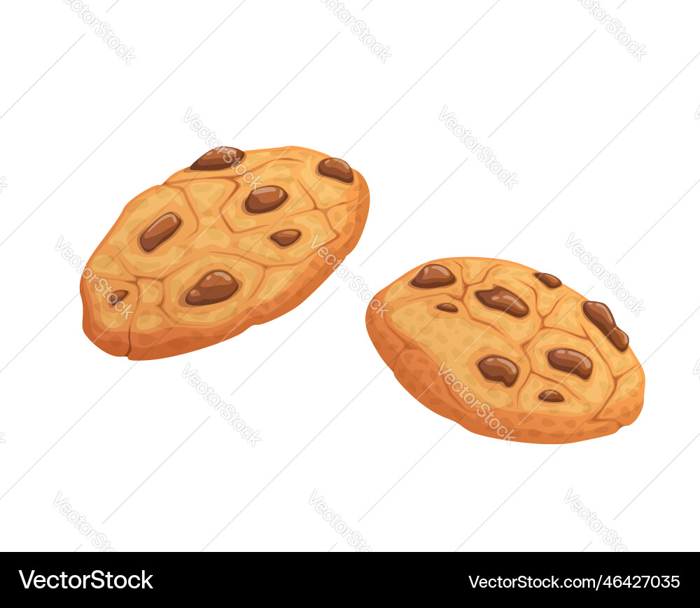 Cartoon biscuit cookie with chocolate pieces Vector Image
