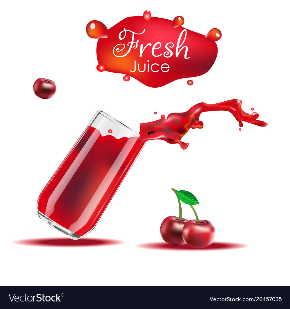 Realistic Isolated Cherry Royalty Free Vector Image