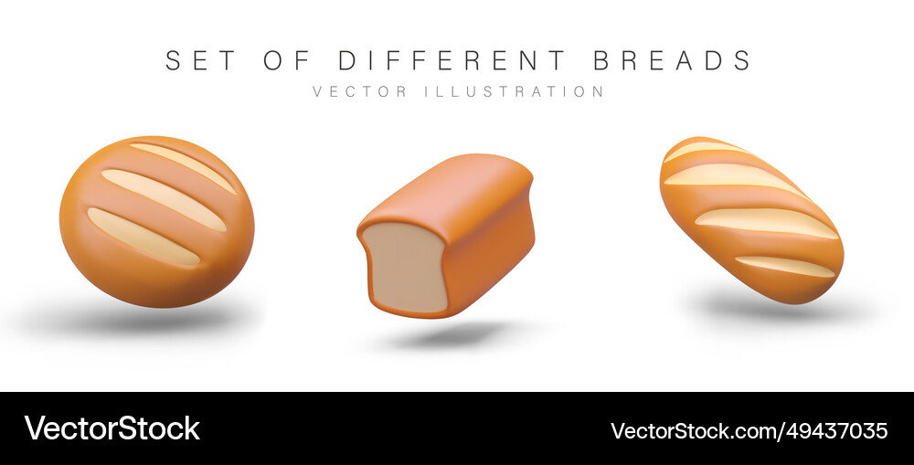 Set of realistic bread loaves different types Vector Image