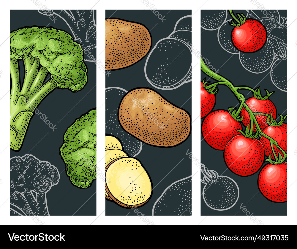 Set vegetables color and monochrome Royalty Free Vector
