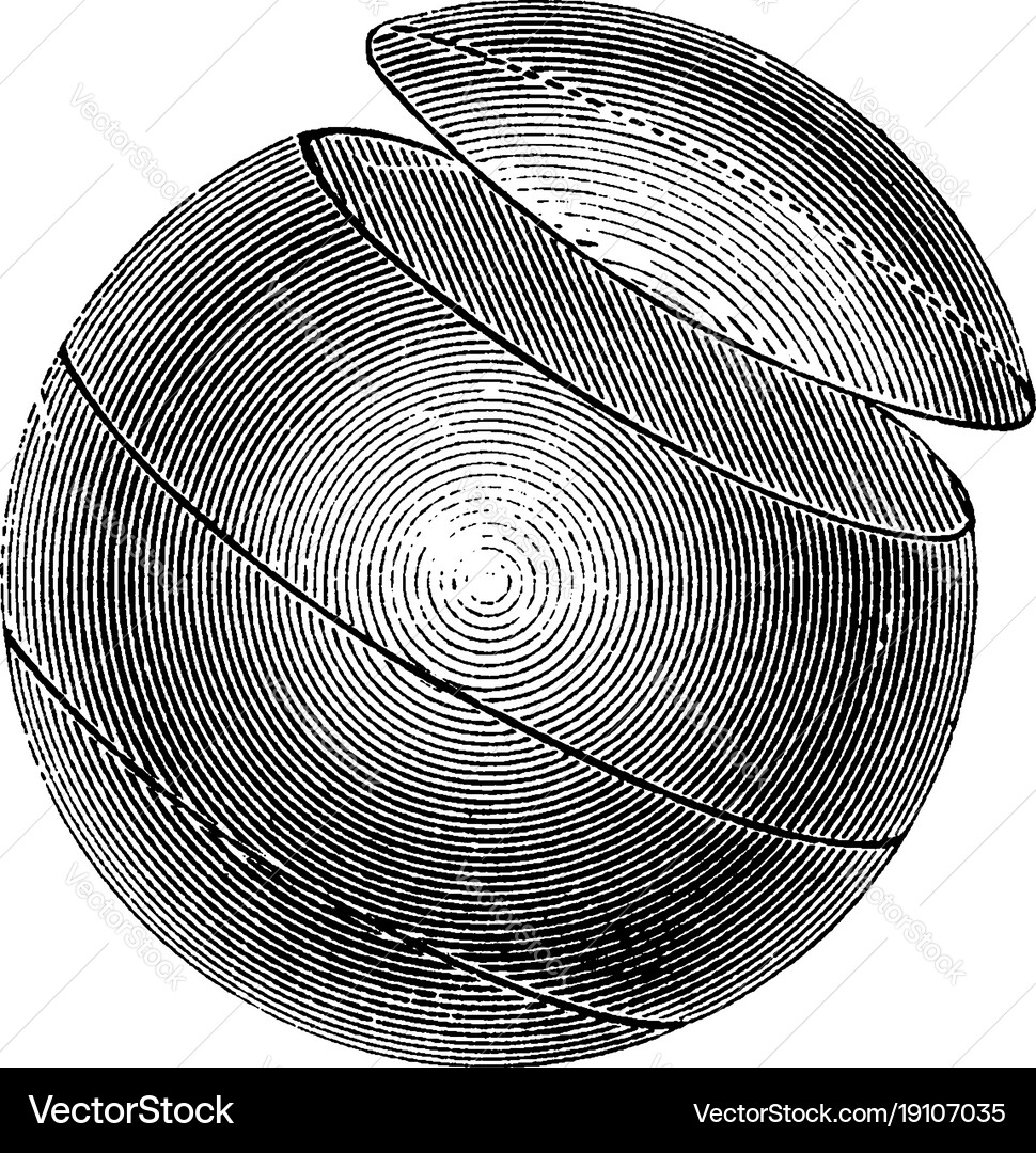 Small circle of sphere vintage Royalty Free Vector Image