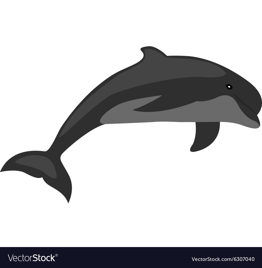 Dolphin Royalty Free Vector Image - VectorStock