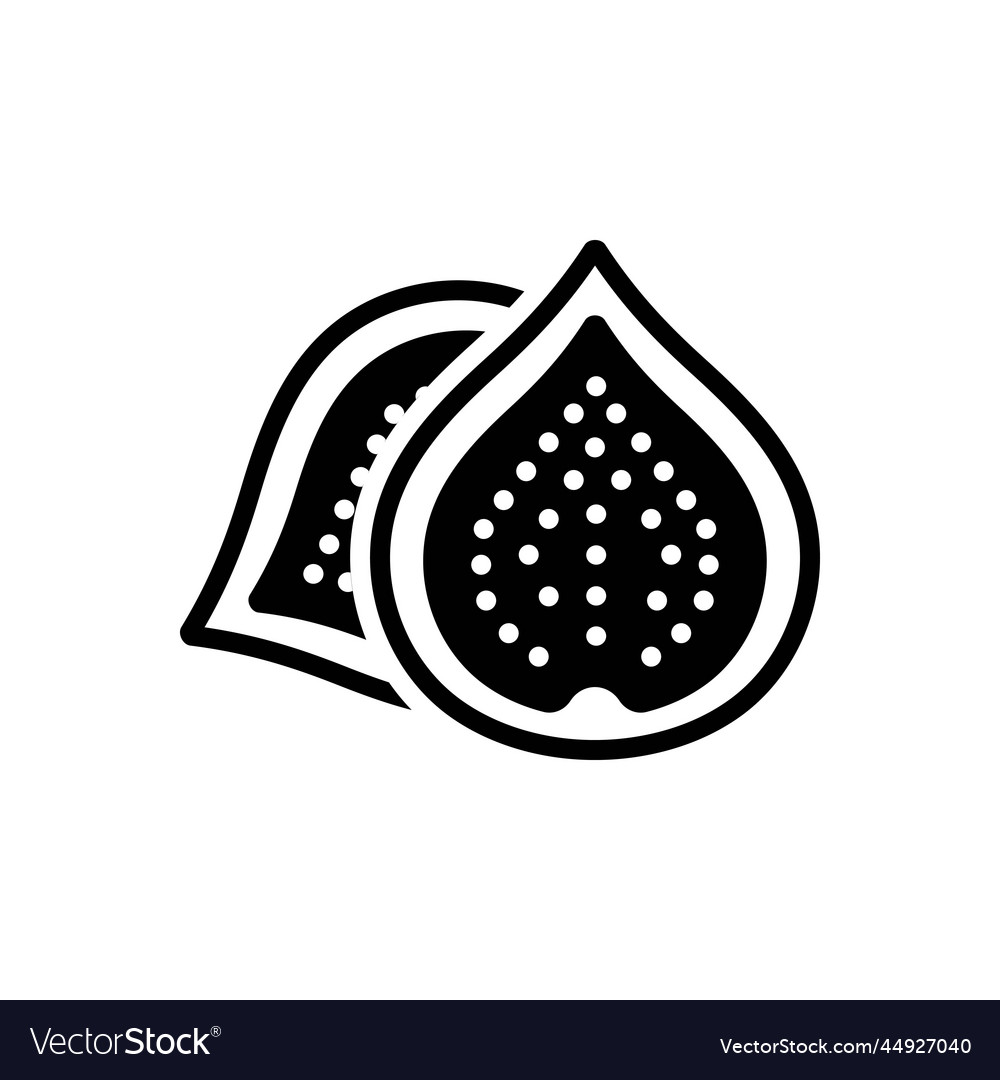 Fig Royalty Free Vector Image - VectorStock