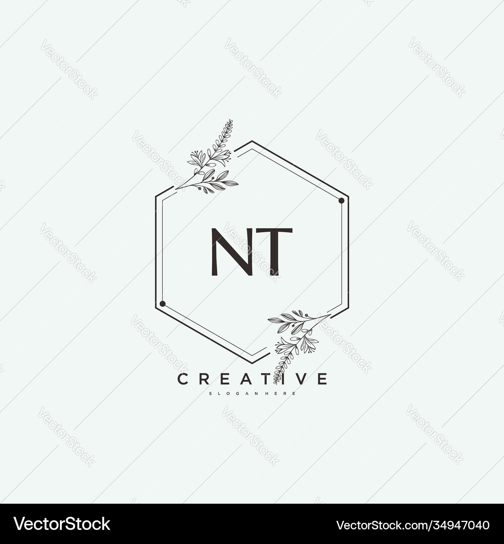 Nt beauty initial logo art handwriting logo Vector Image