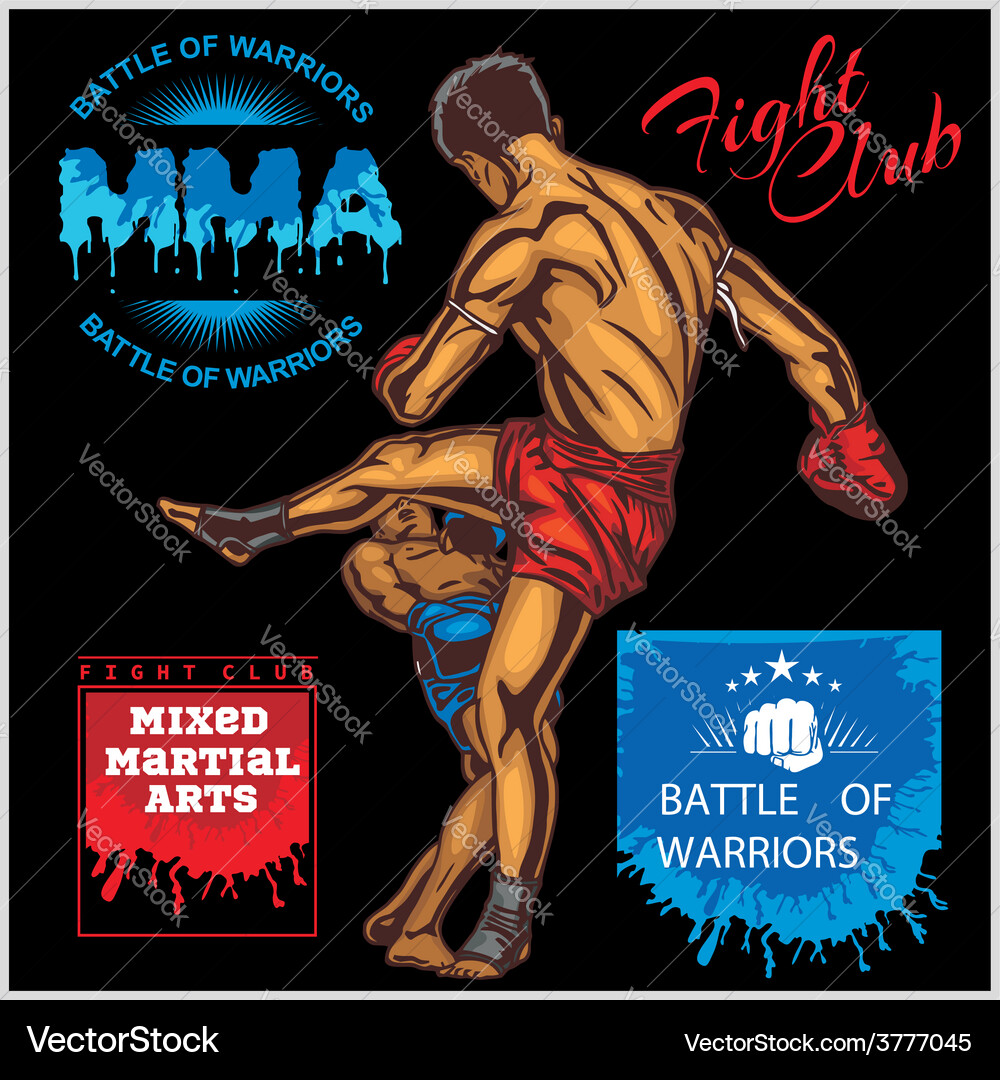 MMA Labels - Mixed Martial Arts Design Royalty Free Vector