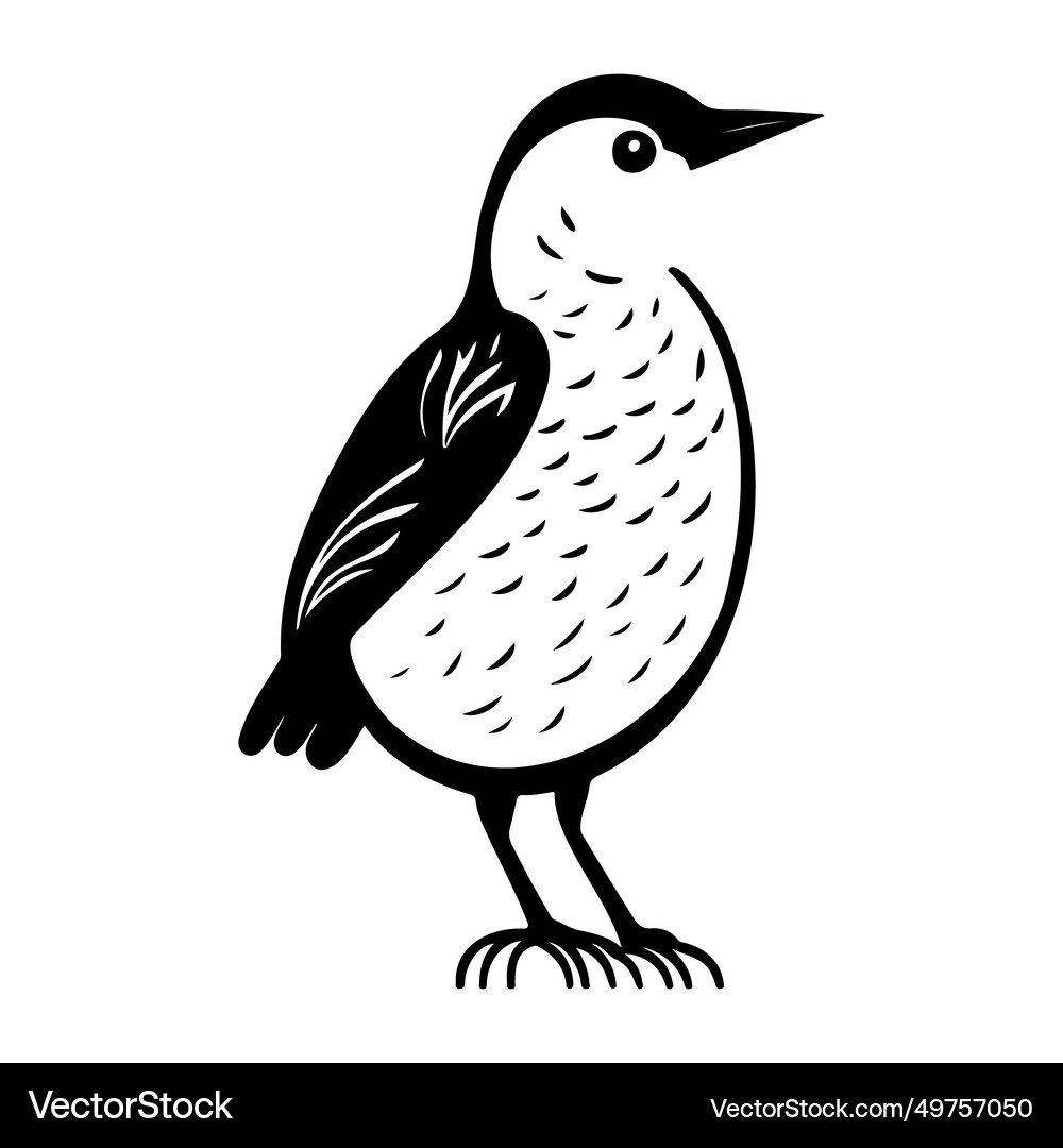 Doodle birds sketch hand draw Royalty Free Vector Image