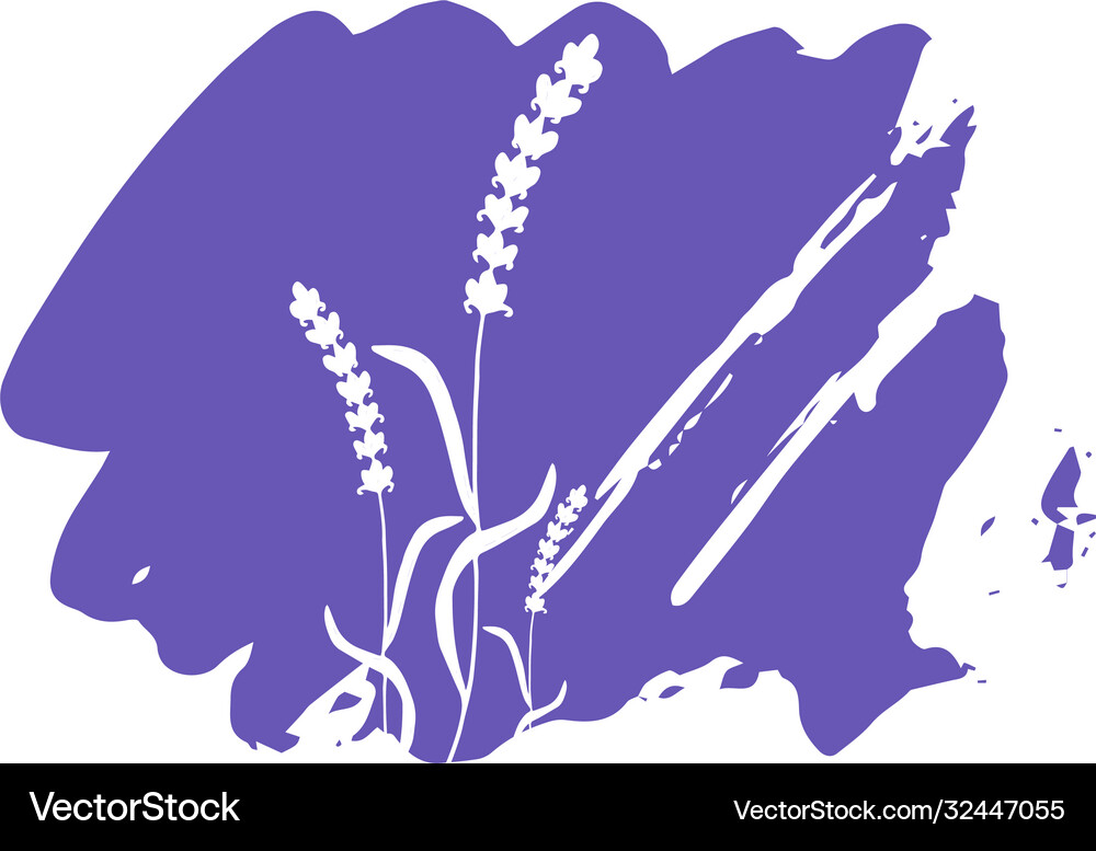 Abstract design lavender in splash color brush Vector Image