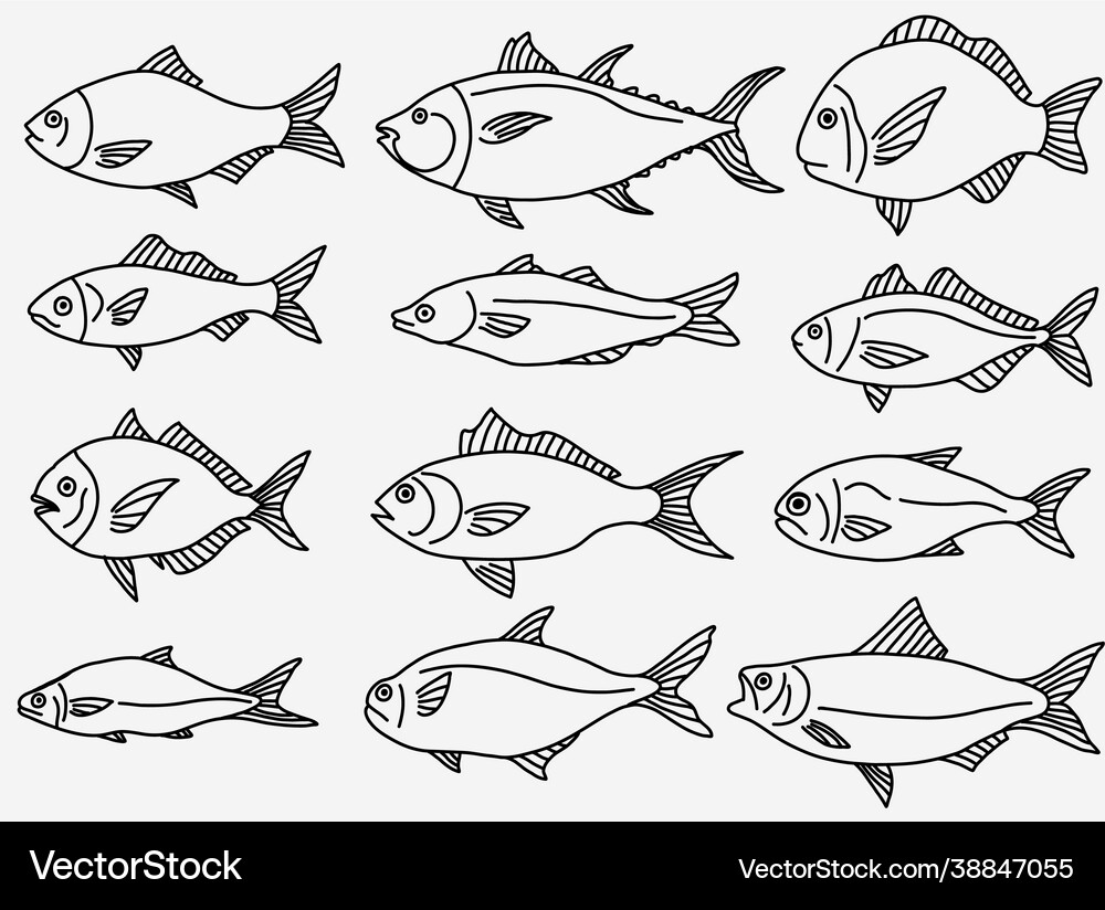 Doodle freehand sketch drawing fish collection Vector Image