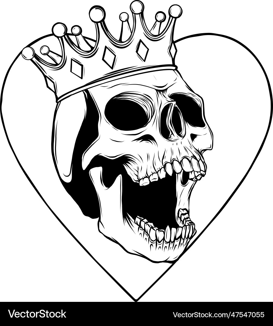 Of outline human skull design Royalty Free Vector Image