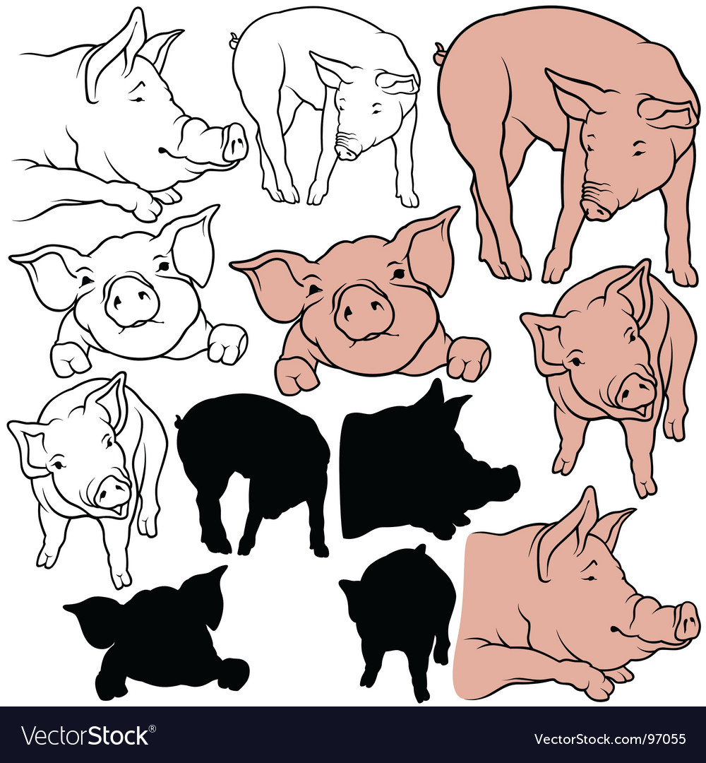 Pigs set Royalty Free Vector Image - VectorStock