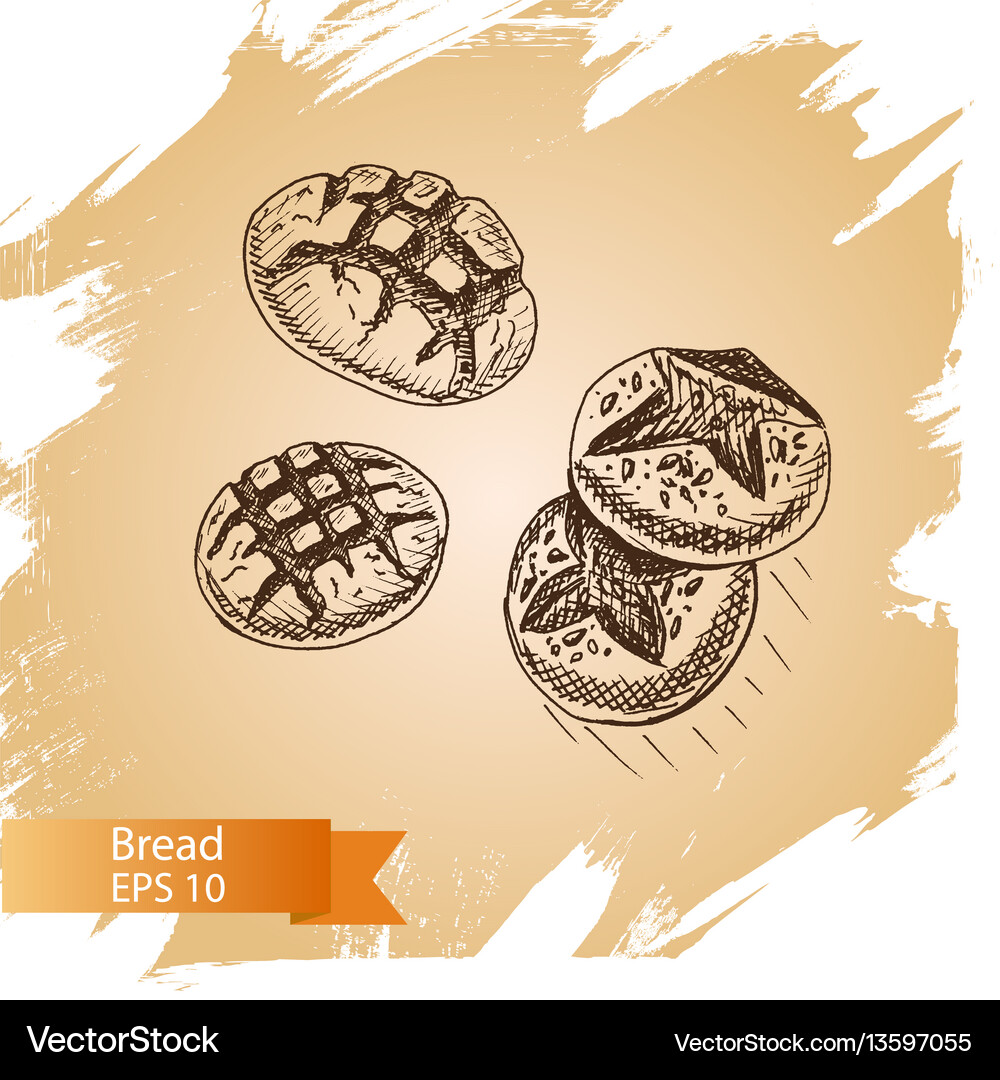 Sketch - bakery bread loaf Royalty Free Vector Image