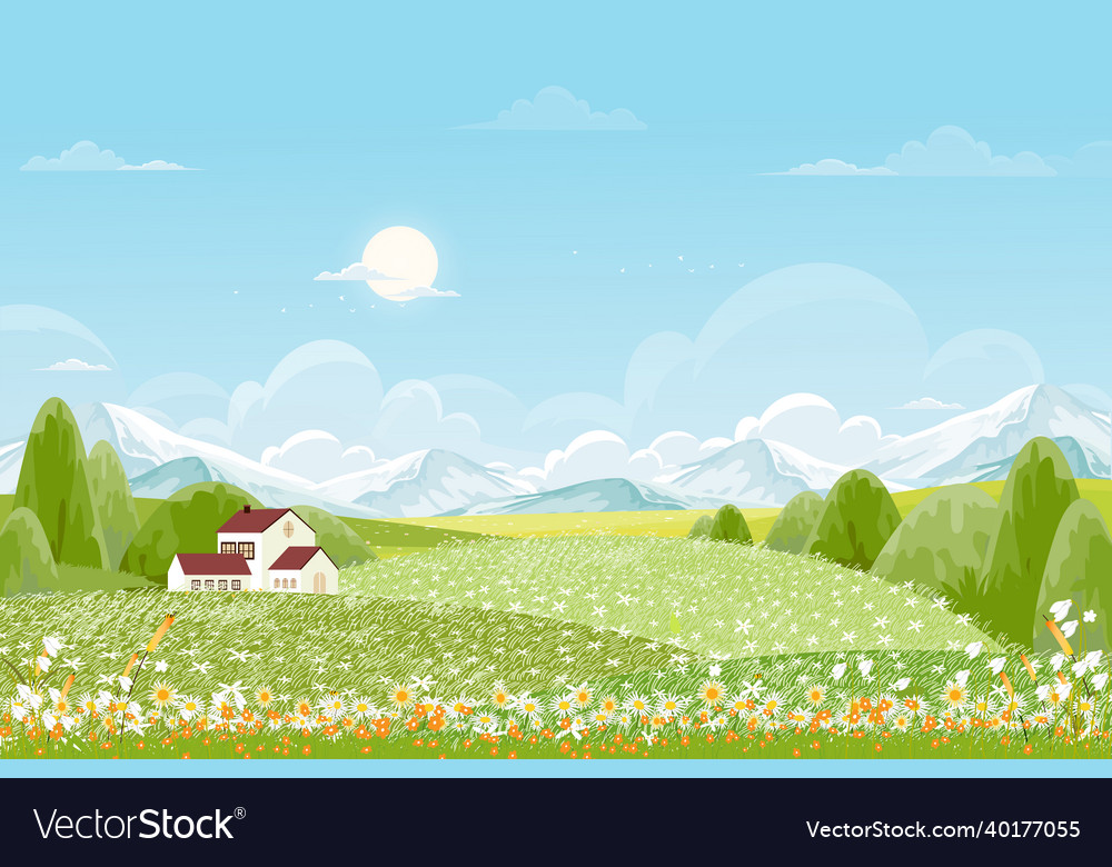 Spring green fields landscape with mountain blue Vector Image