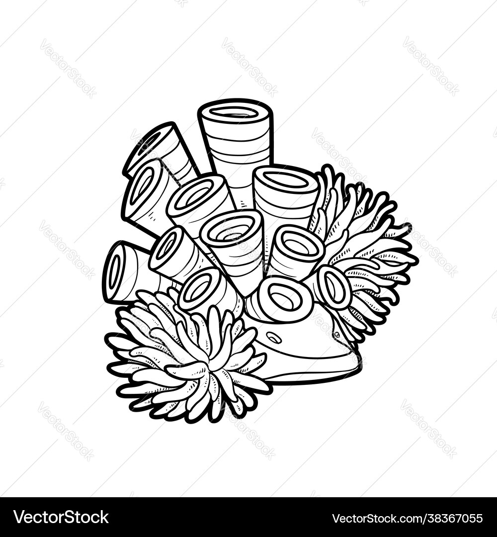 Tall sponge with anemones growing on a stone Vector Image
