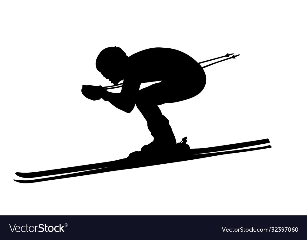 Alpine skiing Royalty Free Vector Image - VectorStock