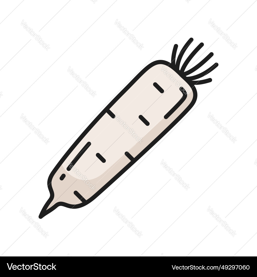 Daikon radish with stem isolated veggie root icon Vector Image