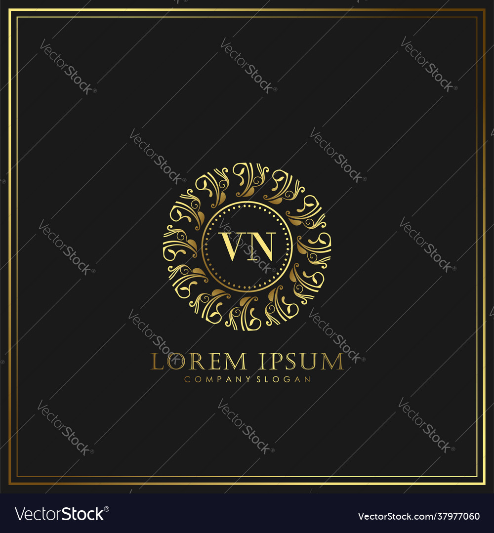 Vn initial letter luxury logo template in art Vector Image