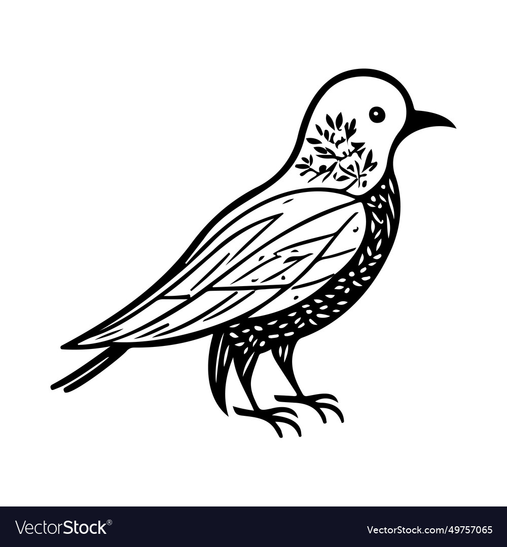 Doodle birds sketch hand draw Royalty Free Vector Image