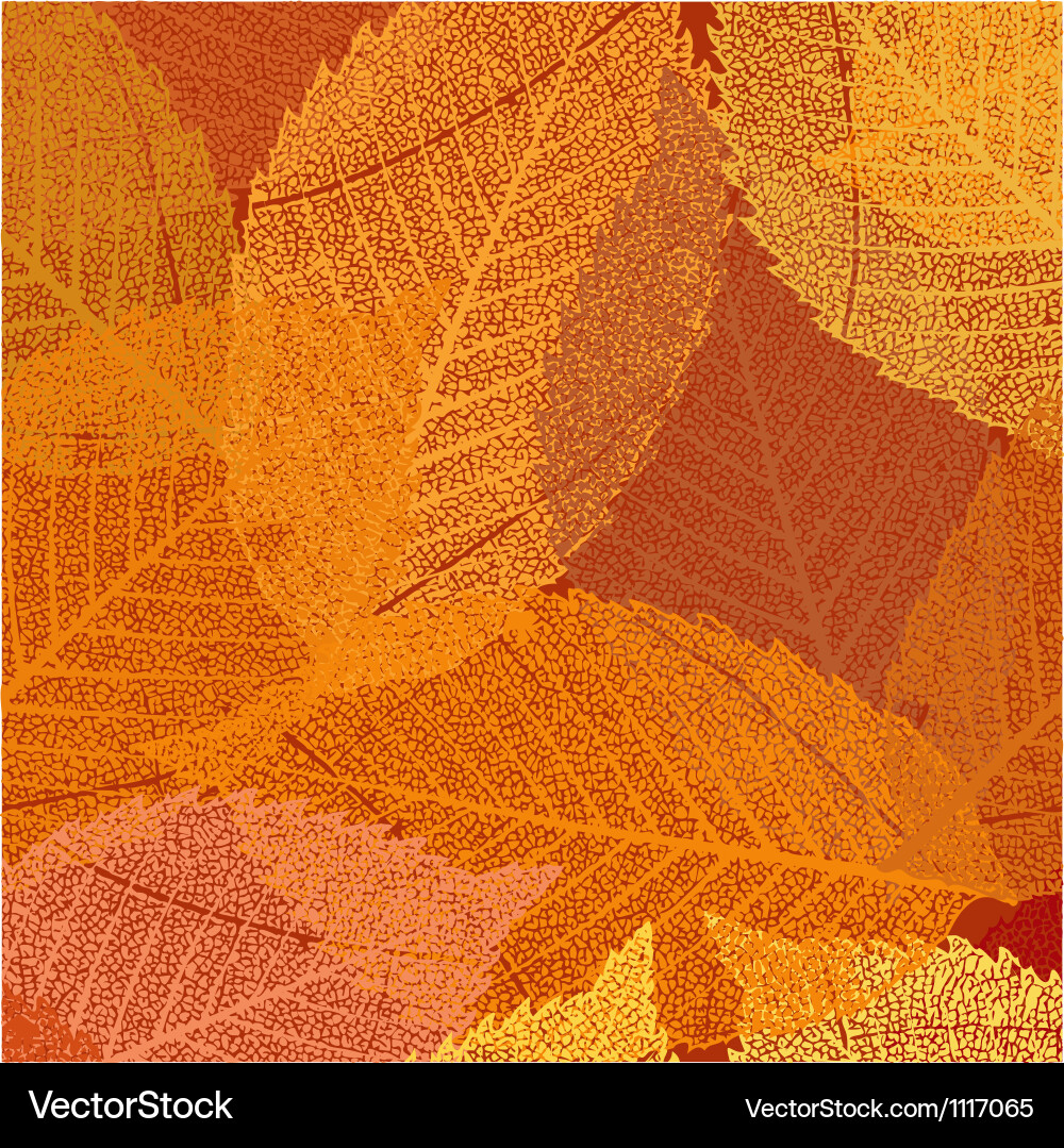 Dry autumn leaves template eps 8 Royalty Free Vector Image