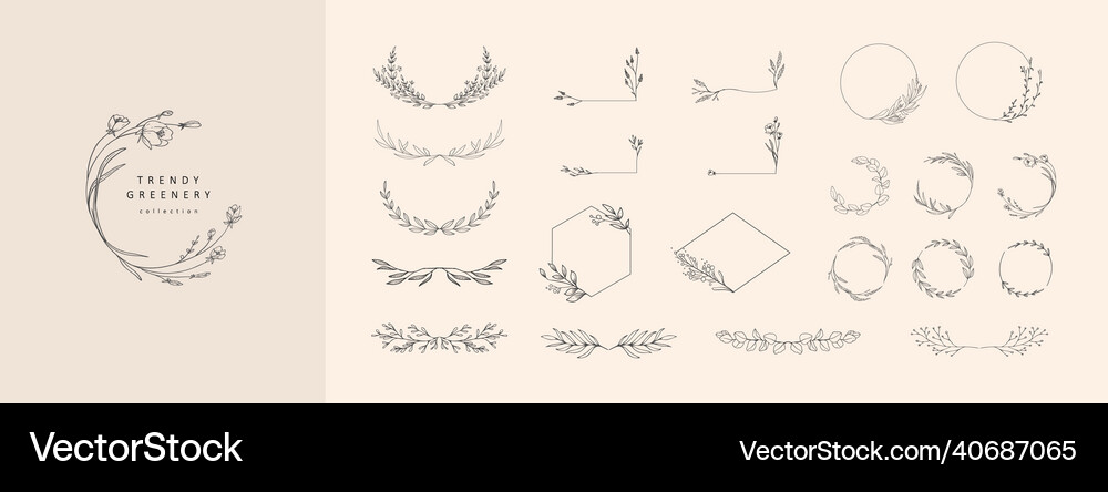 Set of elegant floral logo elements borders Vector Image