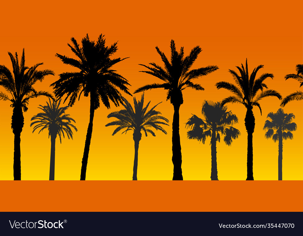 Seamless pattern palm trees silhouettes Royalty Free Vector Seamless pattern palm trees silhouettes Royalty Free Vector