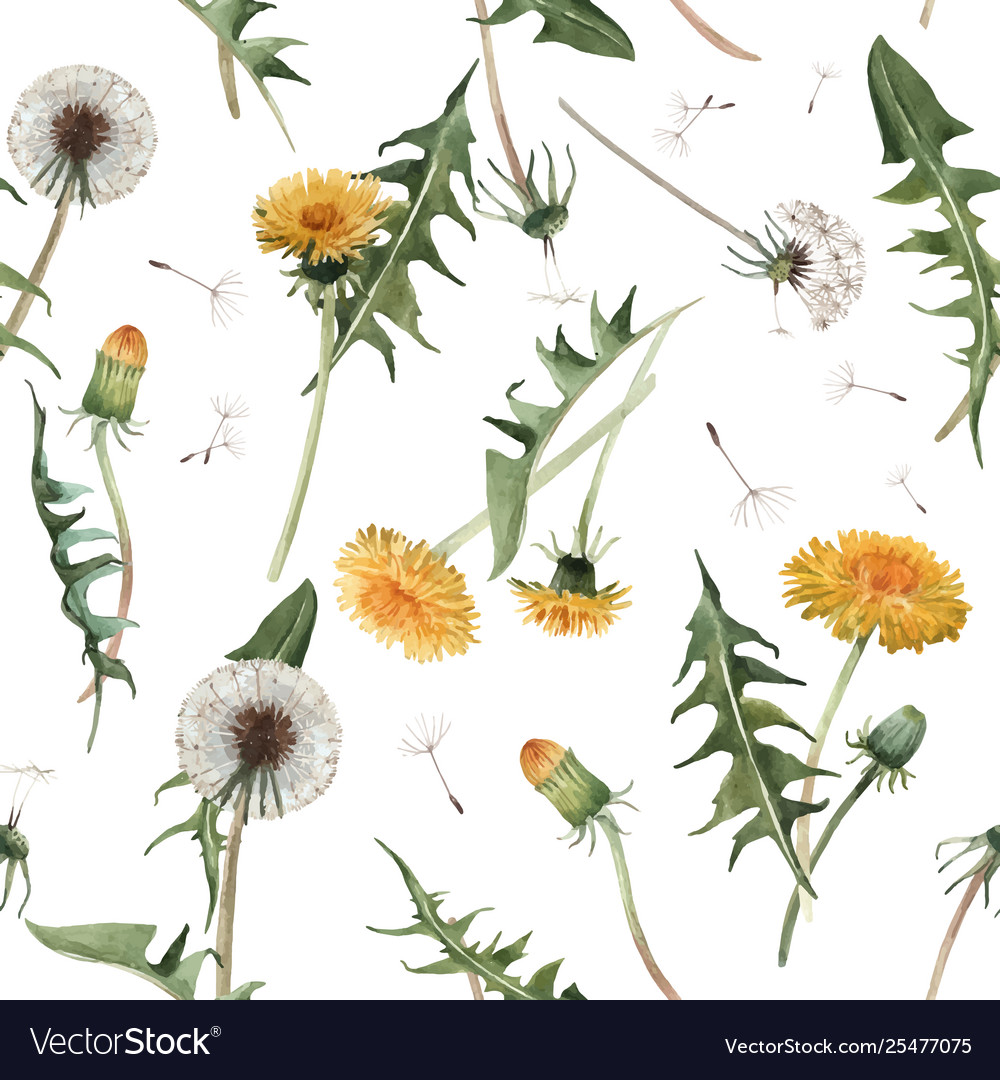 Watercolor dandelion blowball pattern Royalty Free Vector