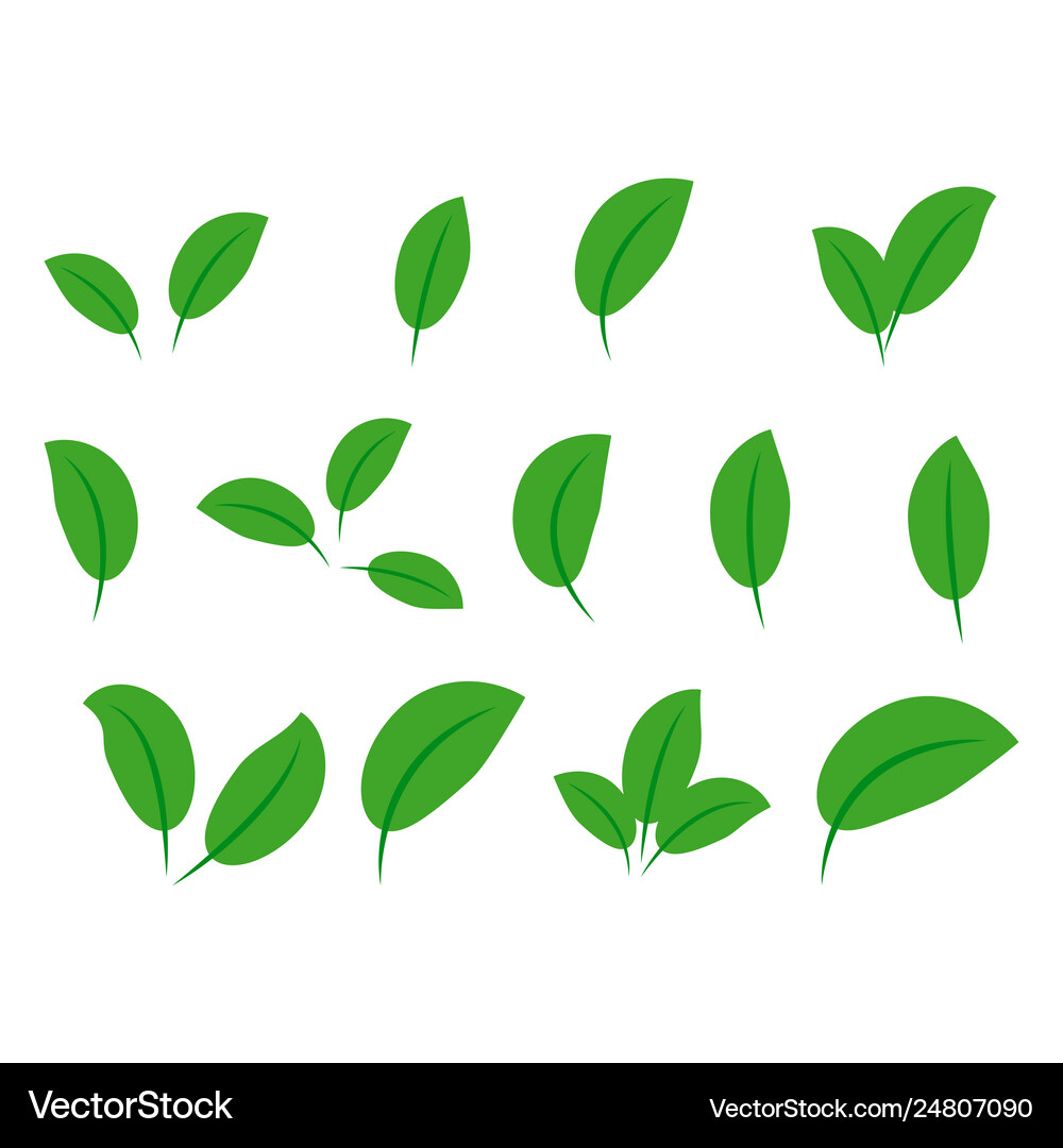 Collection with green leaves in flat style Vector Image