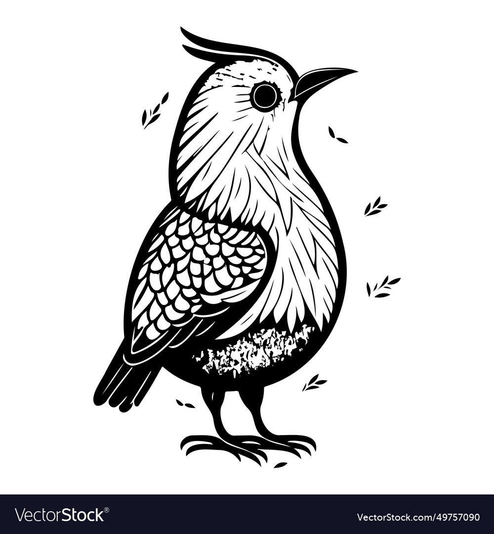 Doodle birds sketch hand draw Royalty Free Vector Image