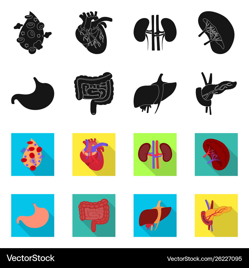 Biology and scientific Royalty Free Vector Image
