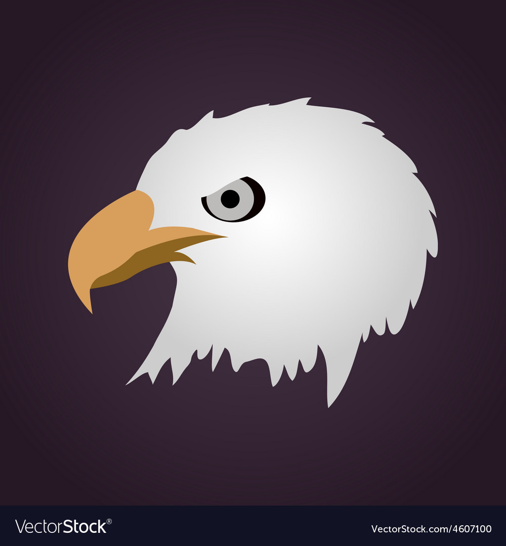 Hawk head Royalty Free Vector Image - VectorStock