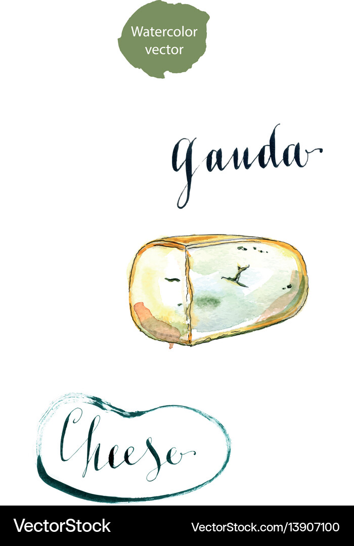 Piece of smoked gauda Royalty Free Vector Image