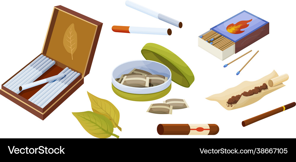 Collection tobacco products set different Vector Image