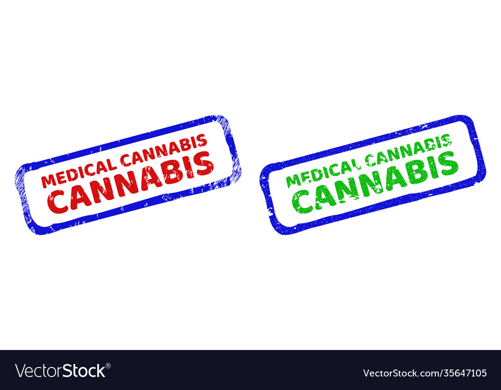 Medical Cannabis Bicolor Rough Rectangular Seals Vector Image