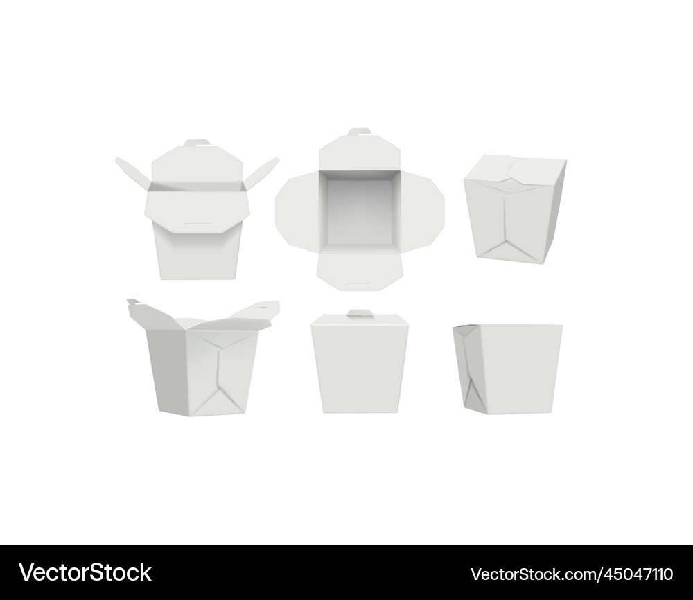 Wok box crafted cardboard containers for delivery Vector Image