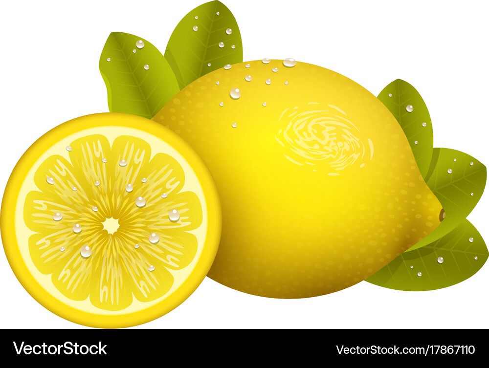 Yellow lemon fruits s Royalty Free Vector Image