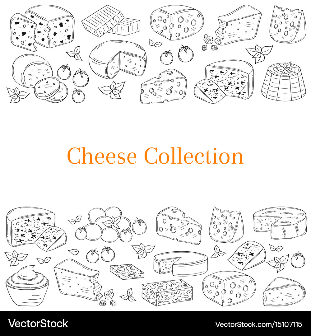 Banner template with different types of Royalty Free Vector