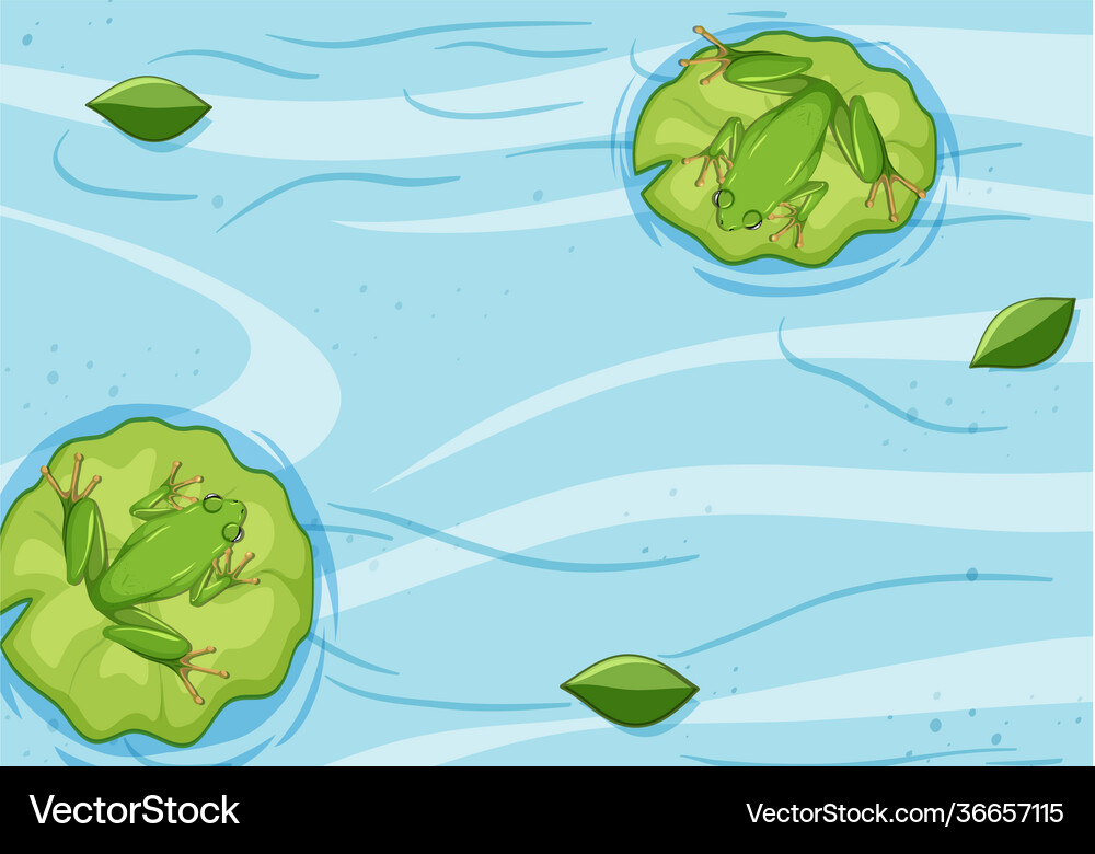 Top view frog on lotus leaf in water Royalty Free Vector