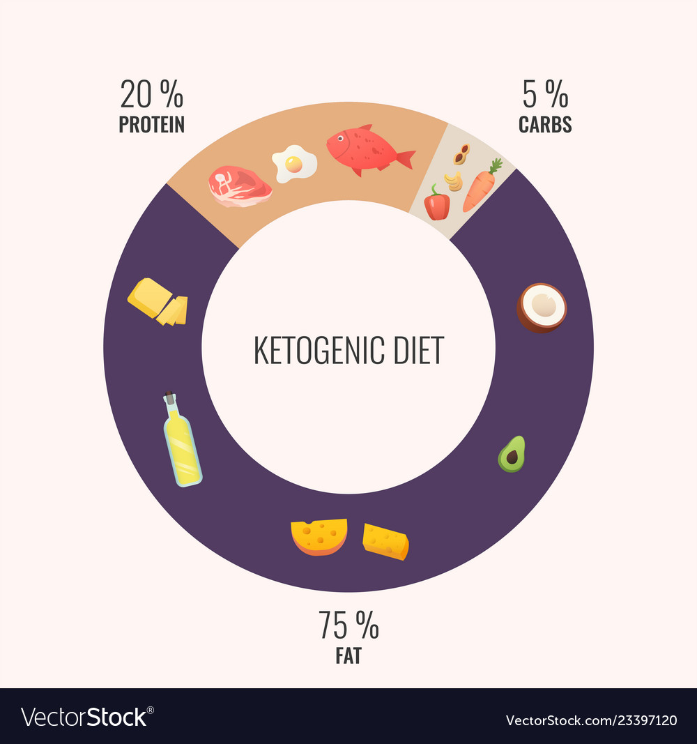 Ketogenic diet diagram Royalty Free Vector Image