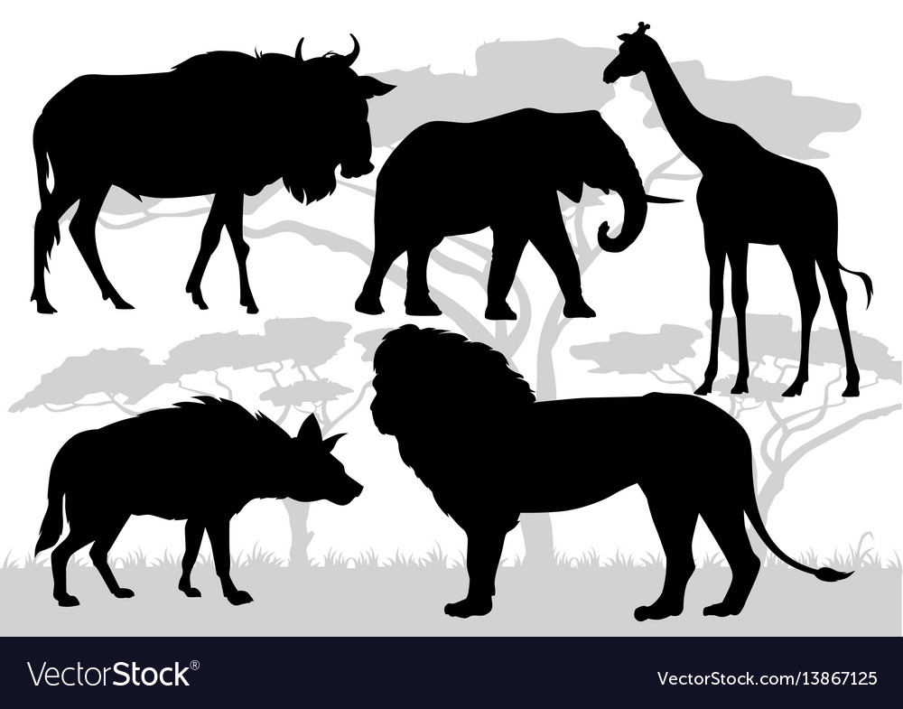 African savannah stock Royalty Free Vector Image