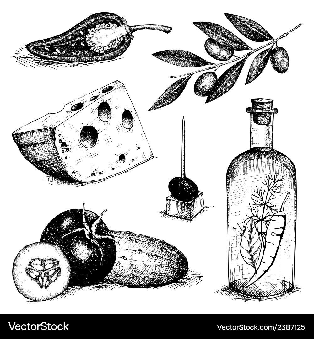 Decorative engraved food isolated on white Vector Image