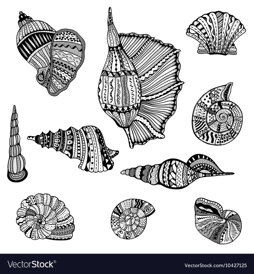 Shell icon set Royalty Free Vector Image - VectorStock