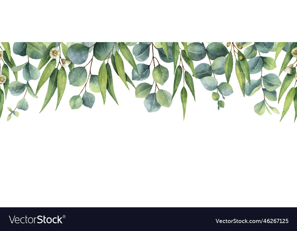 Watercolor eucalyptus green seamless border Vector Image