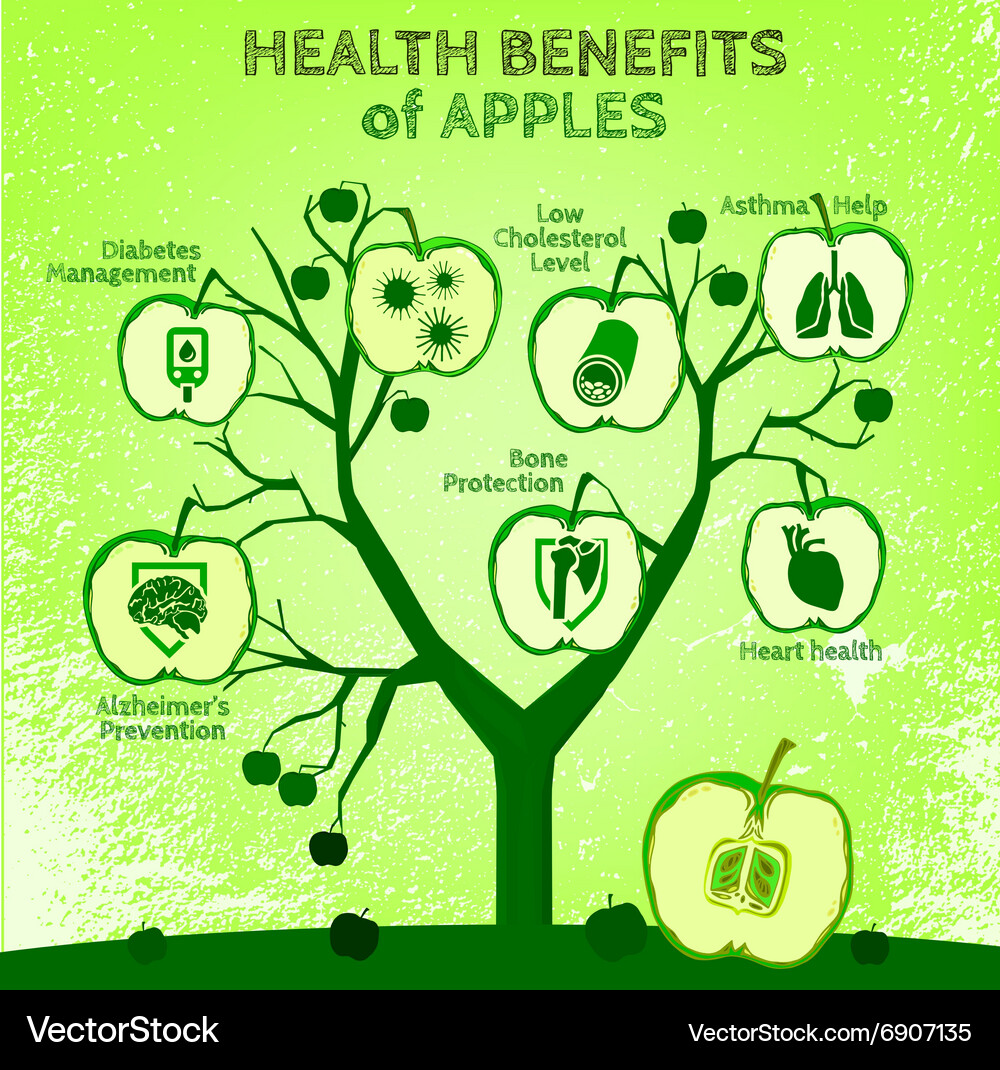 Apple health benefits 02 Royalty Free Vector Image