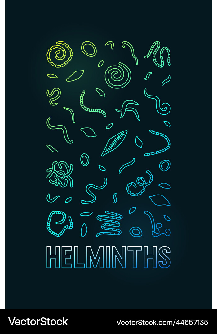 Helminths concept outline vertical colorful Vector Image