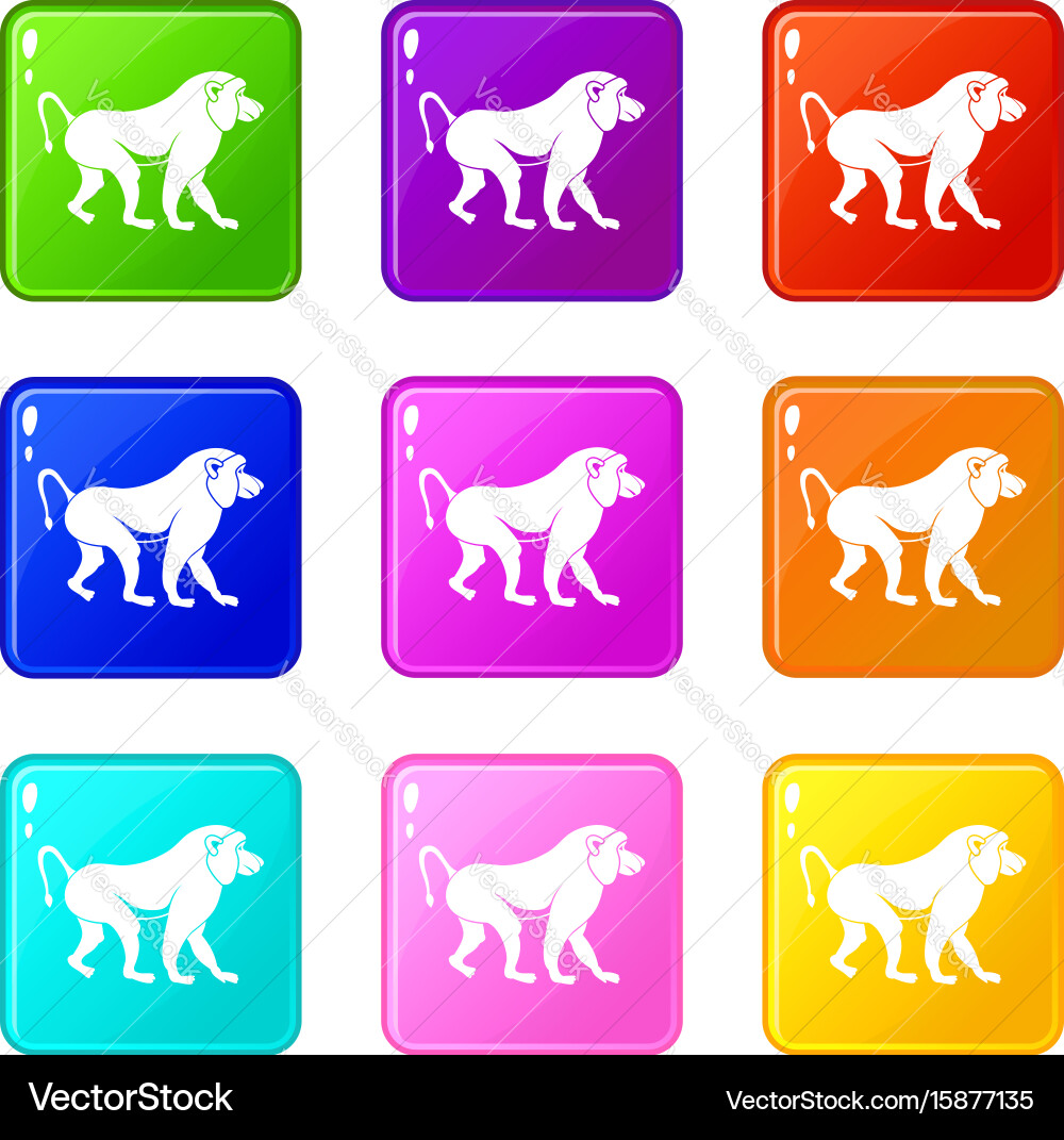 Japanese macaque icons 9 set Royalty Free Vector Image