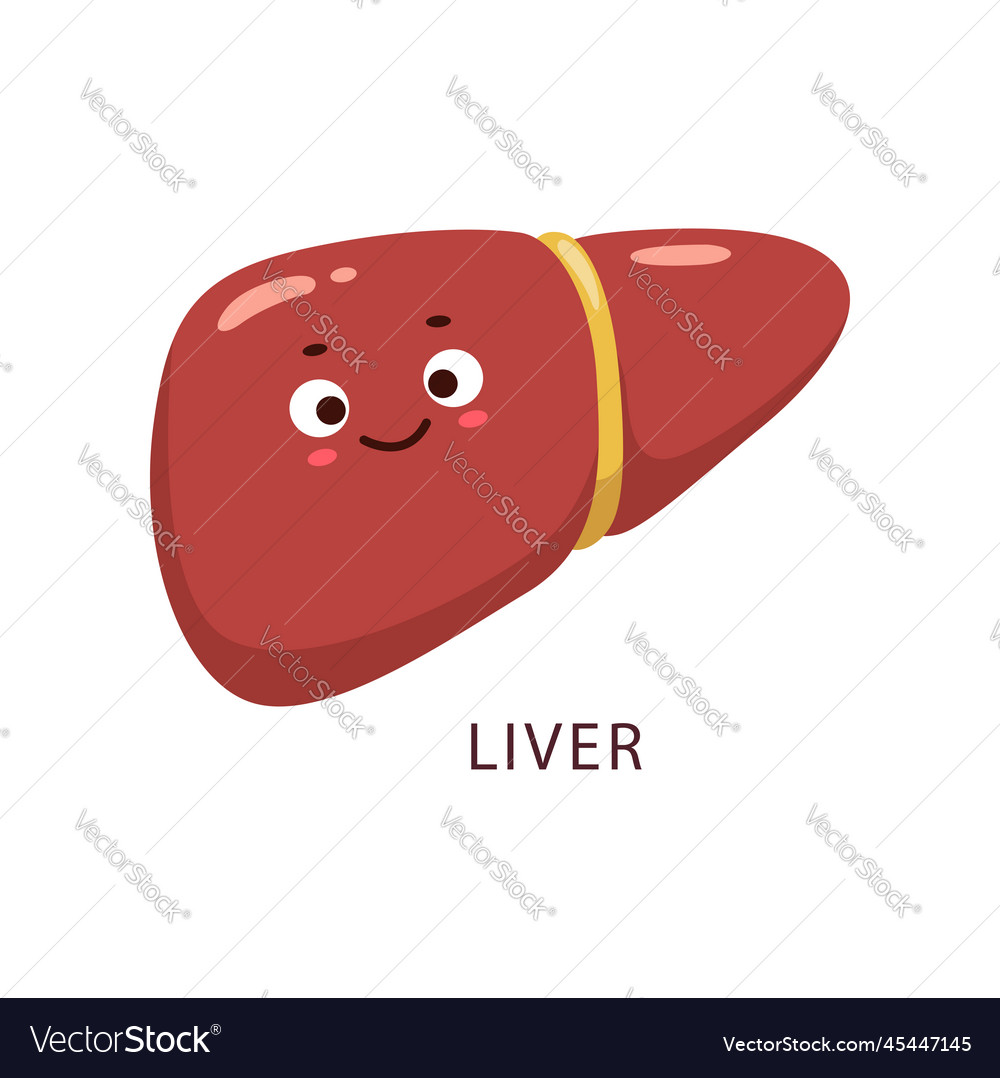 Cartoon healthy liver human body organ character Vector Image