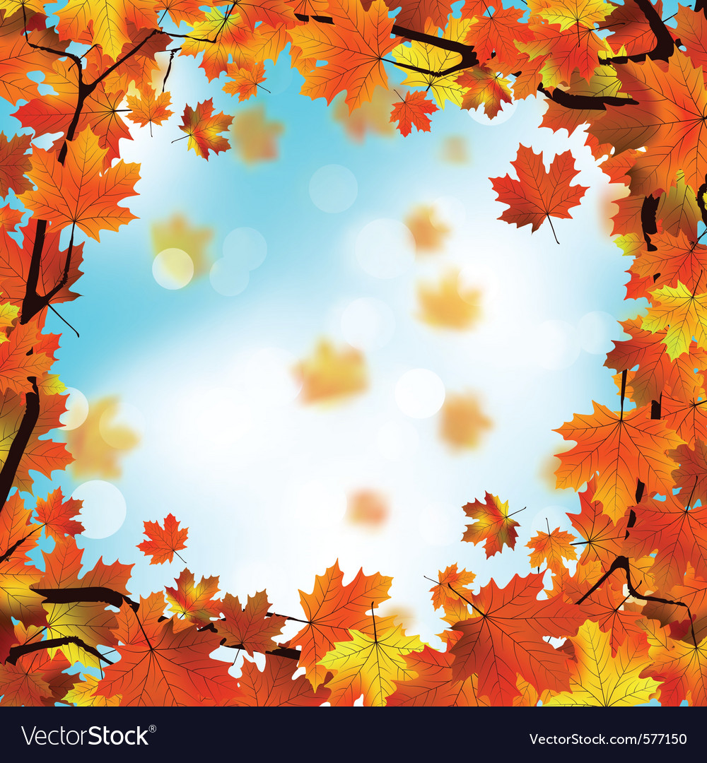 Autumn leaf border Royalty Free Vector Image - VectorStock