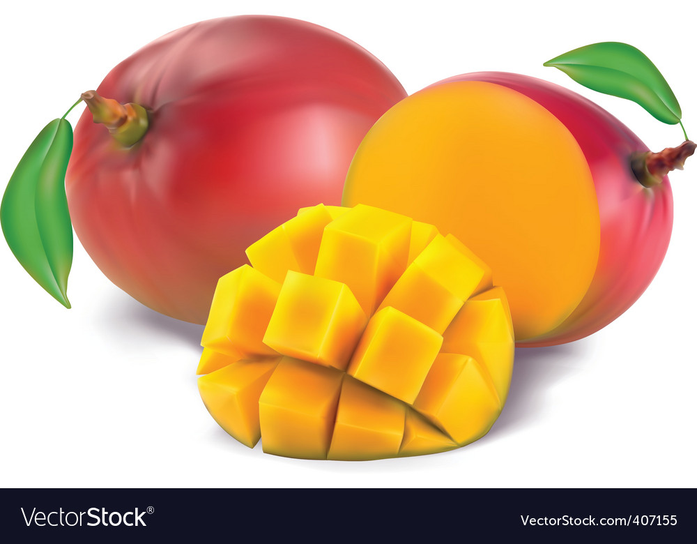 Mango Royalty Free Vector Image - VectorStock