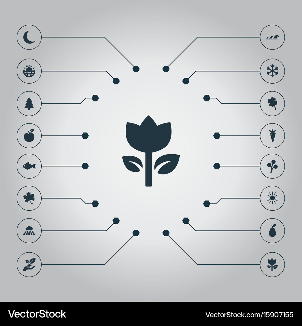 Set of simple bio icons Royalty Free Vector Image